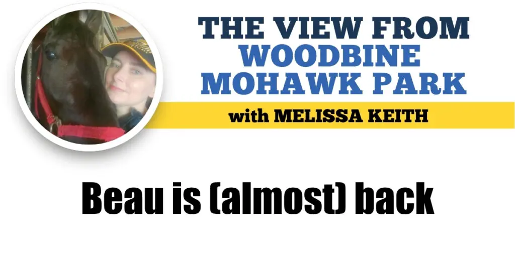 Beau is (almost) back - Harness Racing Update